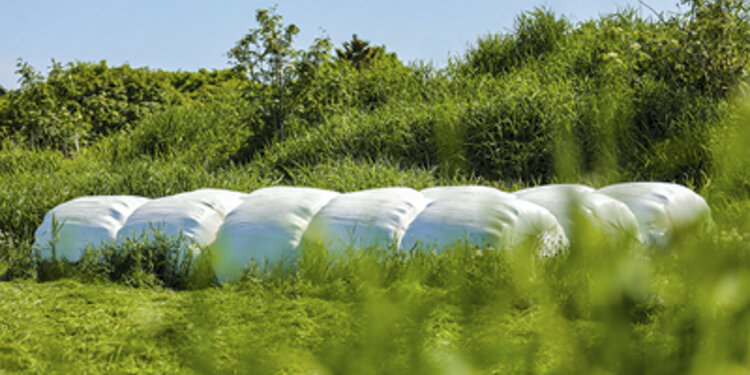 Øk lønnsomheten med god grovfôrkvalitet | BondeKompaniet