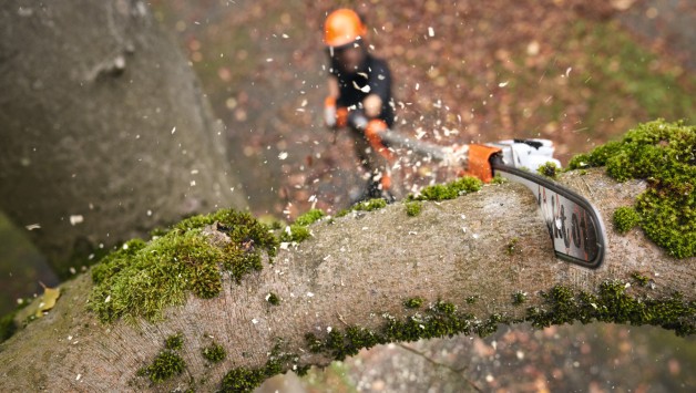 STIHL Grensag lang batteri HTA 160 AP enhet | BondeKompaniet
