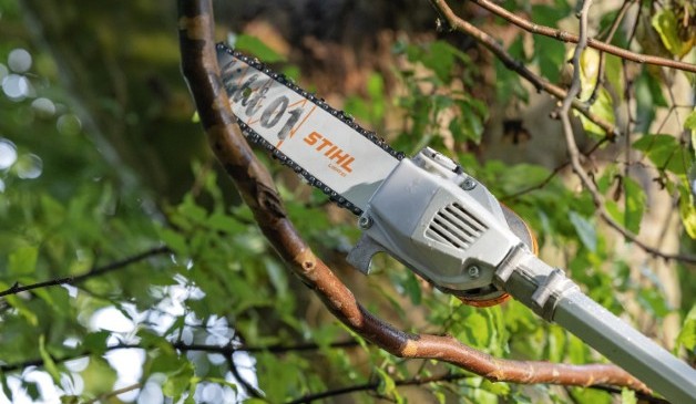 STIHL Grensag lang batteri HTA 66 AP enhet | BondeKompaniet