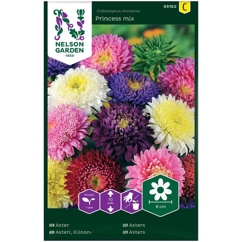 NELSON GARDEN Asters Princess mix | BondeKompaniet