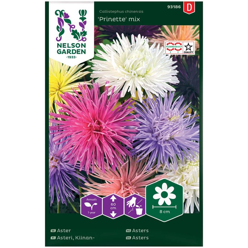 NELSON GARDEN Asters Prinette mix | BondeKompaniet