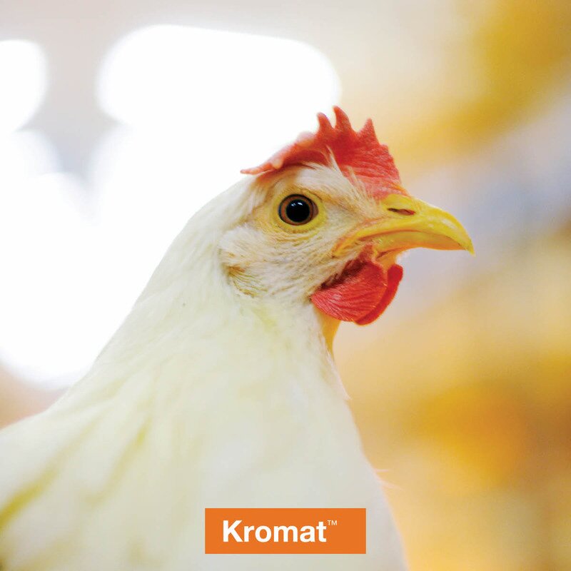 KROMAT Verp 2 | BondeKompaniet