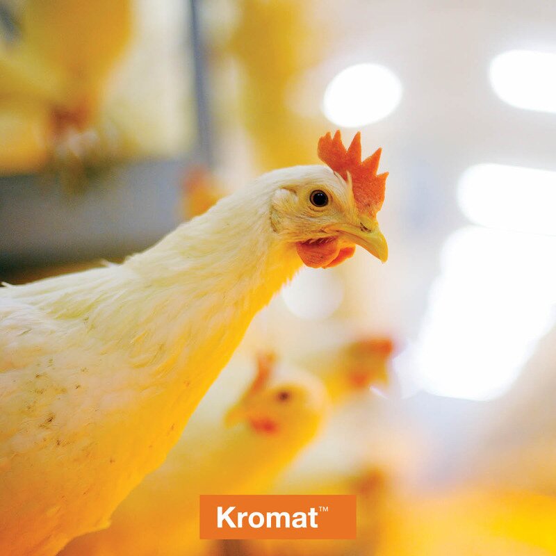 KROMAT Verp 3S | BondeKompaniet