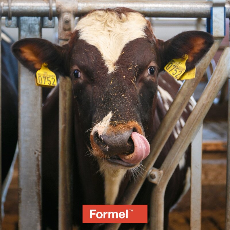 FORMEL Biff 4+ | BondeKompaniet