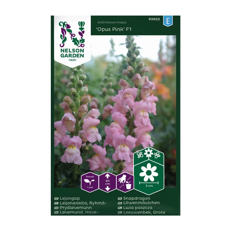 NELSON GARDEN Blomsterfrø prydløvemunn Opus Pink | BondeKompaniet