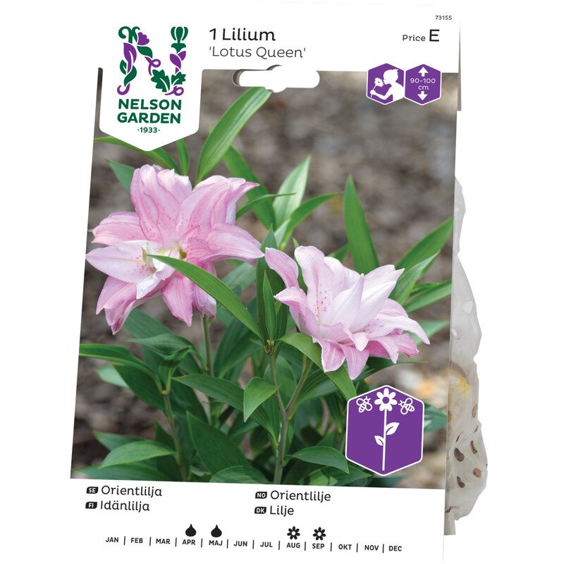 Lilje Orient Lotus Queen | BondeKompaniet