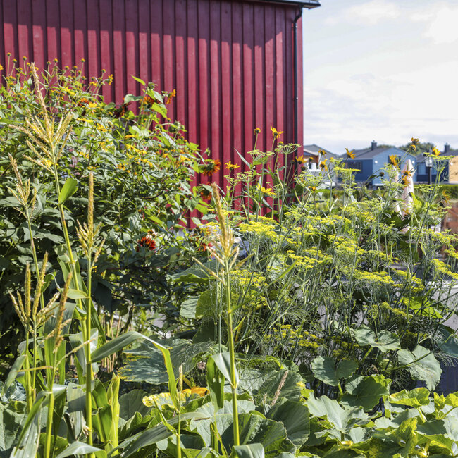Siden finnes ikke | BondeKompaniet