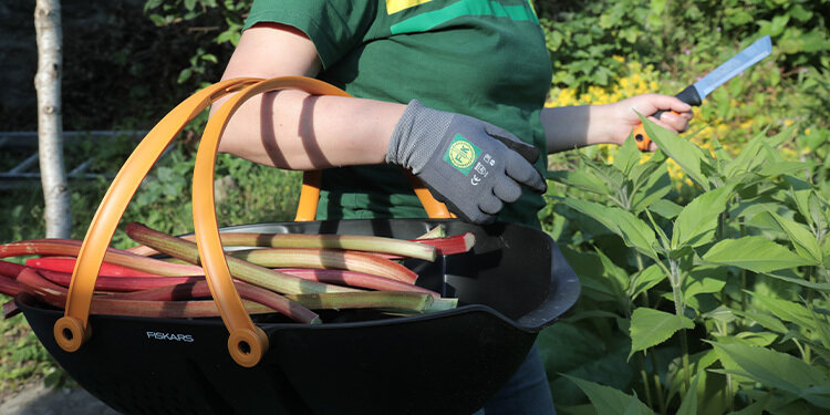 Tid for safting og sylting - BondeKompaniet | BondeKompaniet