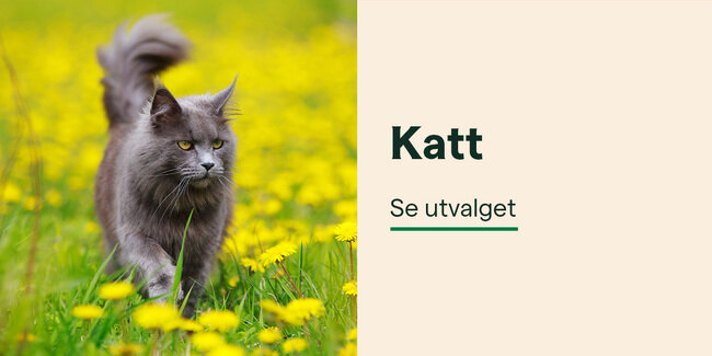 Kjæledyr | BondeKompaniet