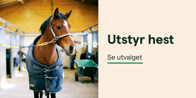 Hest | BondeKompaniet