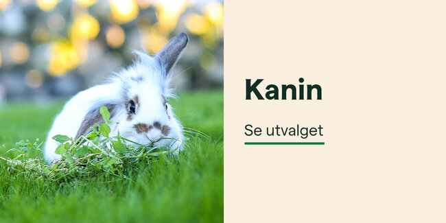 Kjæledyr | BondeKompaniet