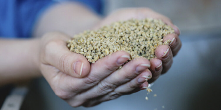 Alle artikler om fjørfe | BondeKompaniet