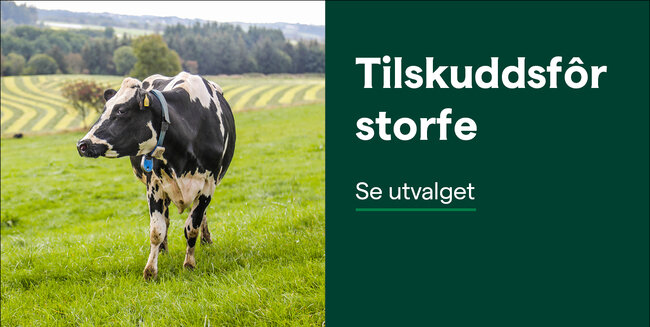 Storfe | BondeKompaniet