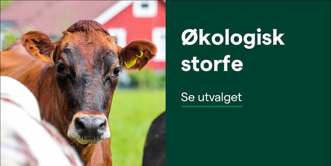 Storfe | BondeKompaniet