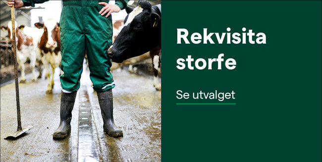 Storfe | BondeKompaniet