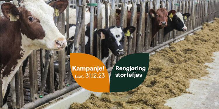 Kampanje! | BondeKompaniet