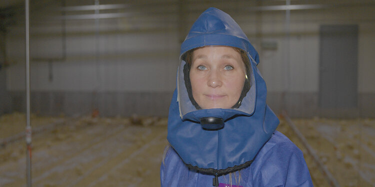 Alle artikler om fjørfe | BondeKompaniet