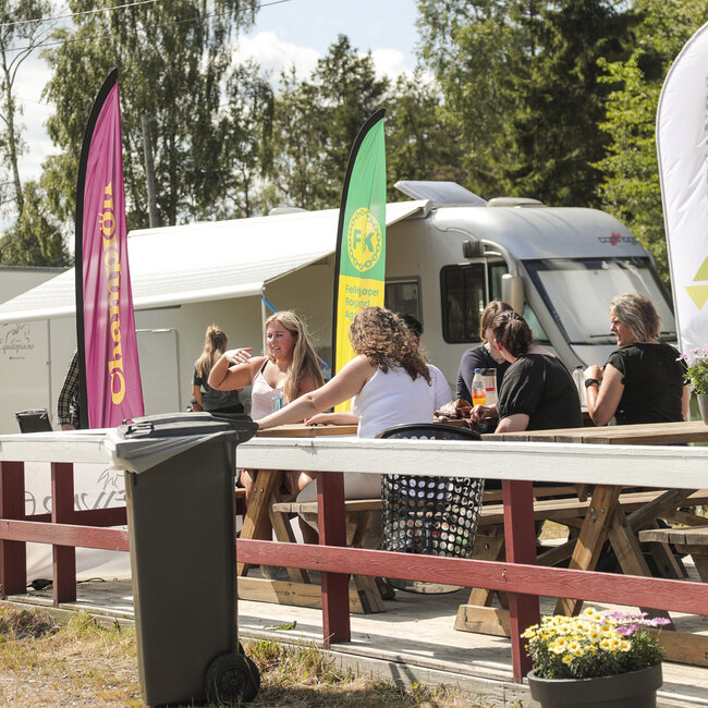 Islandshester på storstevne i Grimstad | BondeKompaniet