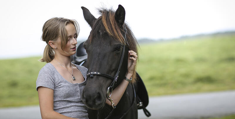 Fôring av hobbyhest | BondeKompaniet