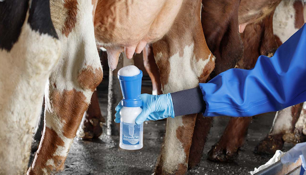 DELAVAL Skumrengjøring Biofoam Plus | BondeKompaniet