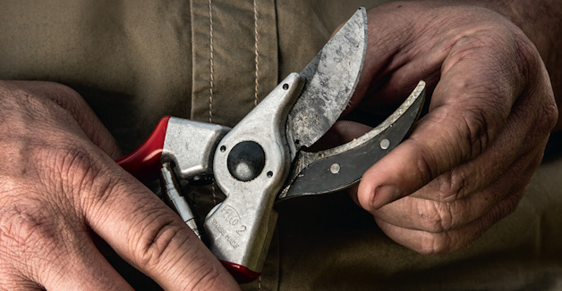 FELCO Beskjæringssaks F2 - large | BondeKompaniet